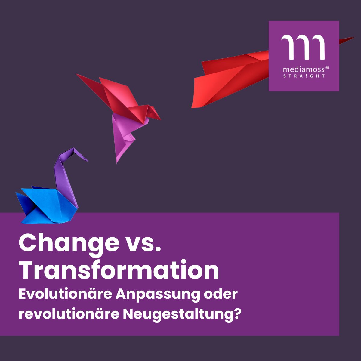 Unterschied Change und Transformation: Ausmaß und Tiefe des Wandels.